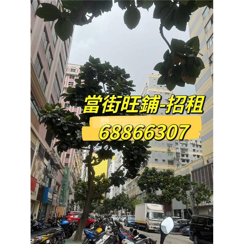 建興龍廣埸💕-PRACA KIN HENG LONG-街舖-澳門皇朝-MaliMaliHome澳門地產資訊網 - 澳門地產,澳門地產黃頁,澳門 ...